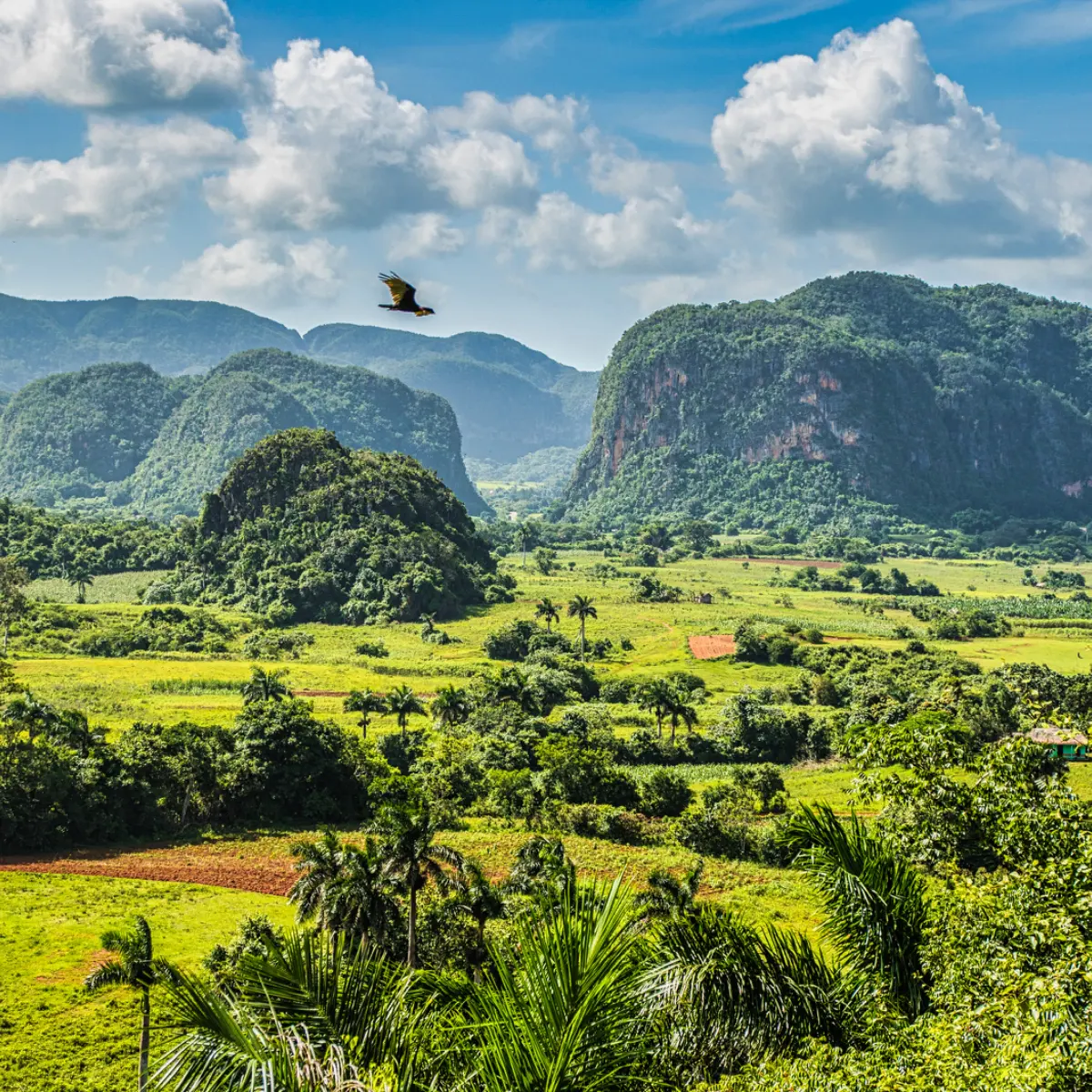 華友旅行MITRAVEL|歐洲深度旅行、蜜月旅行推薦